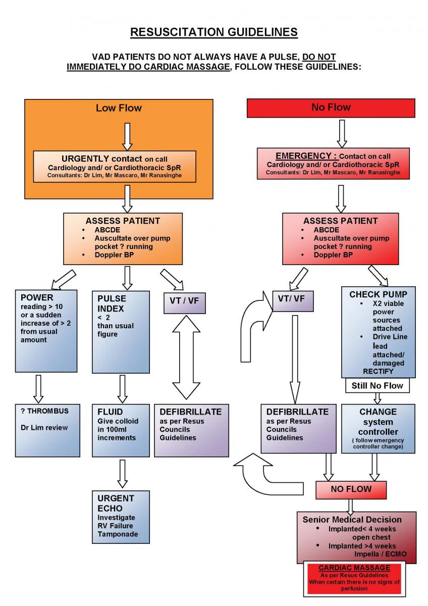Emergency Resuscitation Flow Sheet